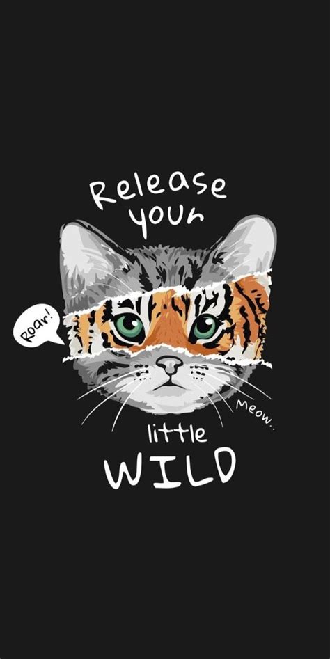 Cute Cat Aesthetic Wallpaper Images Catstagram Iphone Wallpaper Cat Phone Wallpaper Cute