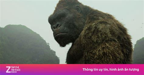 Hóa Thạch 1 9 Triệu Năm Tuổi Hé Lộ Họ Hàng Của King Kong Bản Gốc