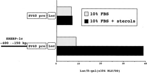 Presence Of Sterol Induced Region Upstream Of The Sre Complex In The
