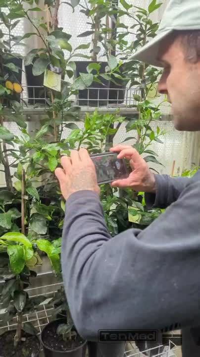 [video] Alan Rockefeller On Linkedin Biodiversity Photography Newzealand Psychedelics