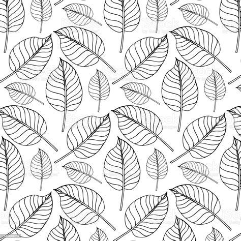 트로픽 식물 꽃 원활한 정글 패턴입니다 패션 여름 벽지 팜 검은색과 흰색 회색 스타일에 나뭇잎의 벡터 배경 인쇄 0명에 대한 스톡 벡터 아트 및 기타 이미지 Istock