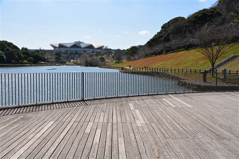 水温む金毘羅池 常設展示室 北九州市 時と風の博物館