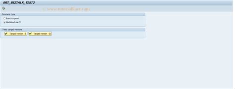 SRT BIZTALK TEST2 SAP Tcode SAP Interop Browser BizTalk Tests 2