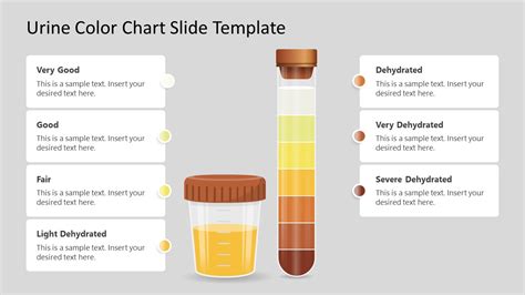 9 Sample Urine Color Charts Pdf Sample Templates