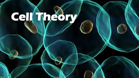 Cell Theory Youtube