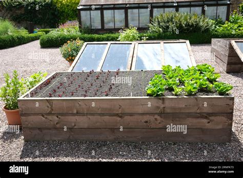 Raised Beds For Growing Fruit Vegetables Salad And Herbs Better For