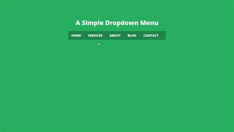 Css Dropdown Menus