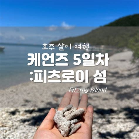 케언즈 4박 5일 여행 5일차 피츠로이 아일랜드 혼자 가는법 스노클링 등산 다 하기 케언스 안녕 네이버 블로그