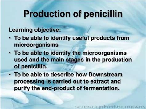 Ppt Production Of Penicillin From Discovery To Downstream Processing