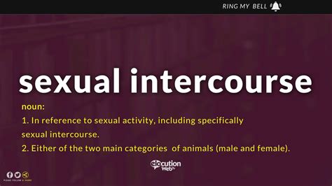 Sexual Intercouse Positions Taskdolf
