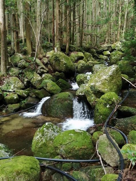 和歌山県の滝 名瀑を訪ねて 湯戸滝 和歌山県