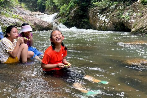【小衣襟的二年级】 三年级启动前，去马峦山郊野公园溯了个溪 小鱼滋味