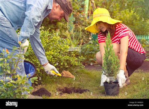 Couple Planting A Tree Together On A Summer Day Stock Photo Alamy