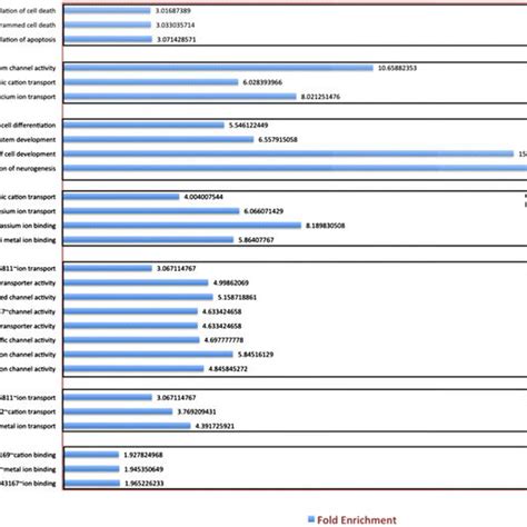 Functional Annotation Clustering Of Neuronal Specific Differentially