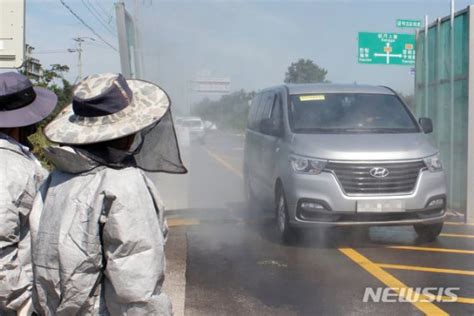 연천 Asf 농장에 새끼돼지 분양한 전남 영광 종돈장 `음성 판정 파이낸셜뉴스