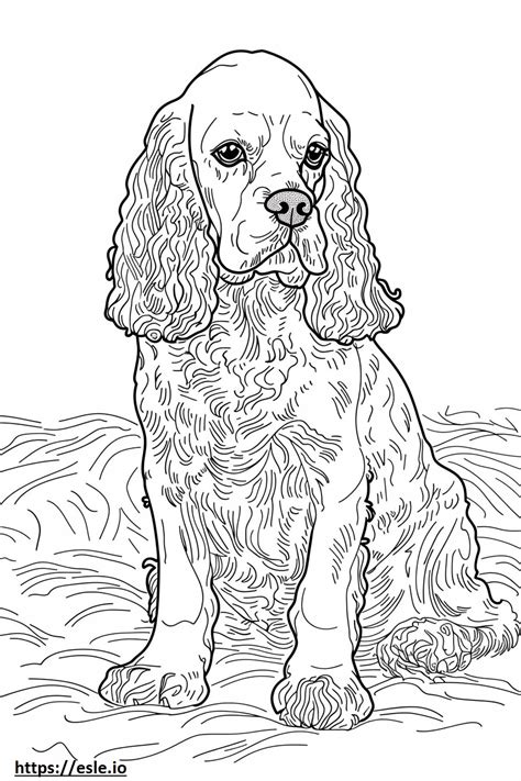 American Cocker Spaniel Happy Coloring Page