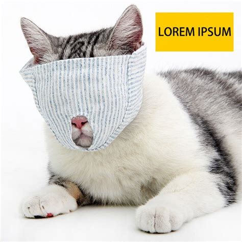 Cat Muzzle Anti Bite Kitten Mouse Muzzles For Bitt Vicedeal
