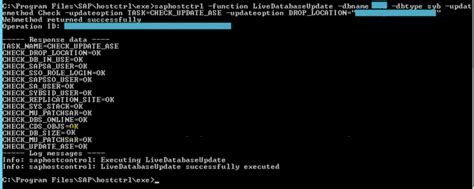 Patching Sap Ase Sybase Database