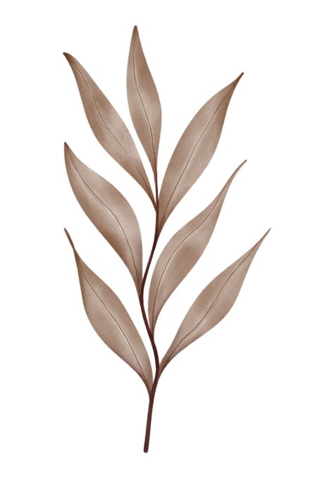 Watercolor Plants Illustration 32737309 Png