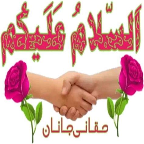 نوی ترانی Medak