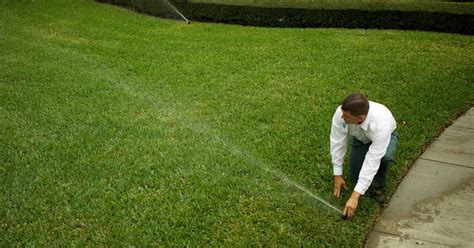 Massey Services Pest Control Termite Inspection And Lawn Services