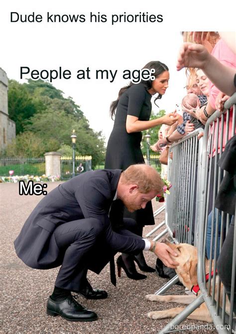 This Facebook Page Is All About Relatable Dog Memes Here Are 50 Of The