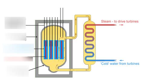 Radiation Diagram Quizlet