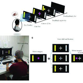 A A Single Trial Structure Of A Motor Imagery Based BCI With Gaze Download Scientific
