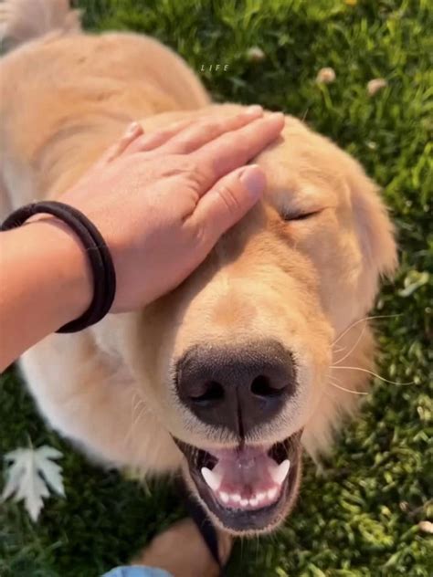 𝙇 𝙄 𝙁 𝙀 අහලා තිබුනට දැකලා නැති අයට 🖤💫 Instagram