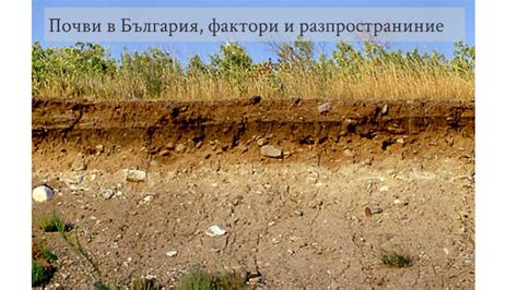 Почви в България фактори и разпространиние By Radoslava Bocheva On Prezi
