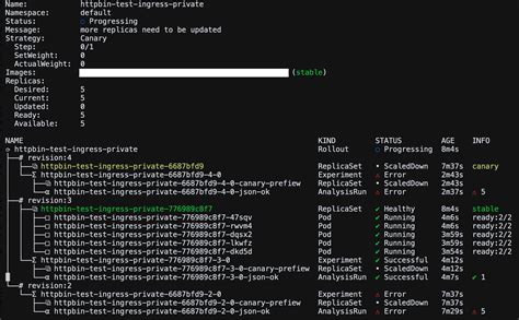 Rollout Stuck In Progressing Indefinitely After Failed Experiment · Issue 942 · Argoprojargo