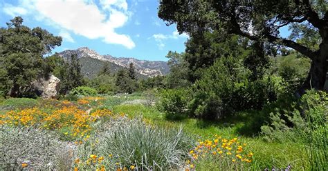 Santa Barbara Botanic Garden