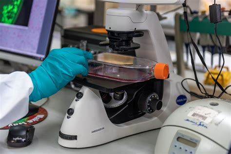 Uk Gov Boosts Microbial Forensics With Dstl Aid Mirage News