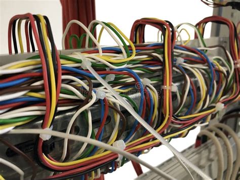 Multi Colored Network Cables Connected To Data Center Server Stock Image Image Of Server Data