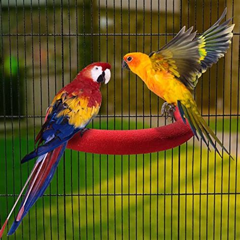 Frgkbtm Parrot Perch Stand U Shape Quartz Sands Bird Stick Paw