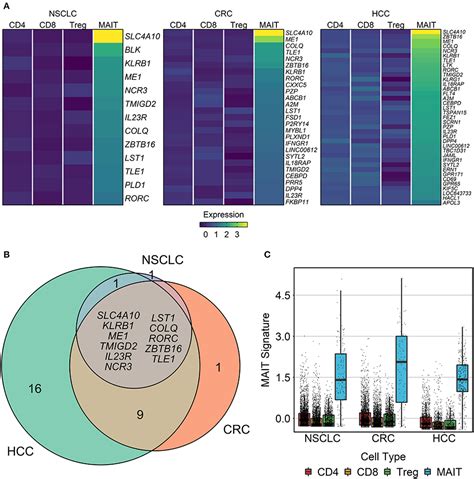 Frontiers Leveraging Public Single Cell And Bulk Transcriptomic