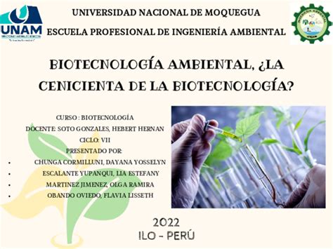 Pdf Mapa Conceptual Biotecnologia