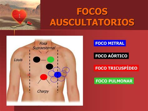 Ppt Soplos CardÍacos Powerpoint Presentation Free Download Id2259302