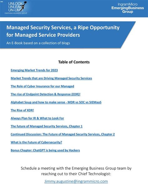 Ebg Managed Security Services Solutions Brief By Ingram Micro