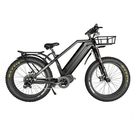 Bafang M620 Mid Motor 48v 1000w Electric Dirt Bike With Dual Battery 26