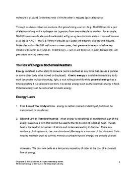 Lecture Chemical Foundations For Cells Bio Molecules Chemical Reactions