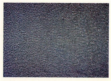 Mottling Painta Chem India