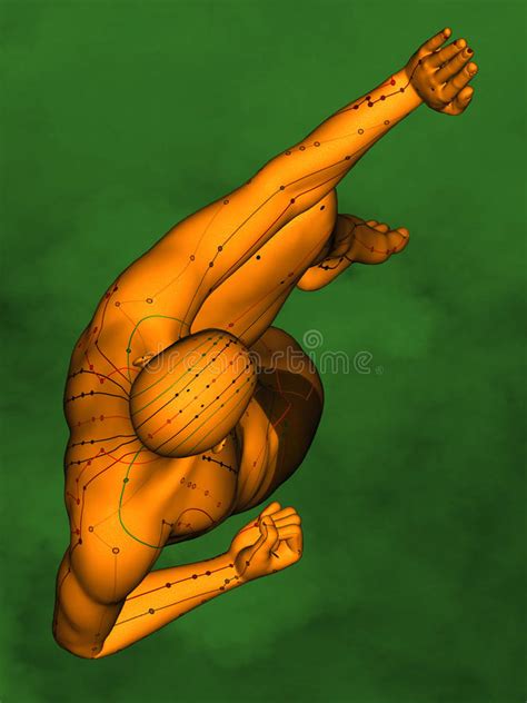 Acupuncture Model M Pose Ma S 01 05 3d Model Stock Illustration