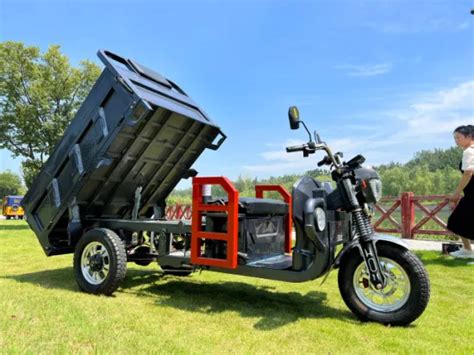 Adult Motorized Cargo Electric Bicycle Three Wheel Electric Scooters