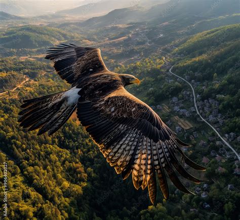 From A Birds Eye View A Powerful Eagle Dominates The Scene Its Wings