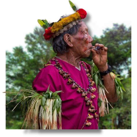 Nacionalidad Siekopai Udapt