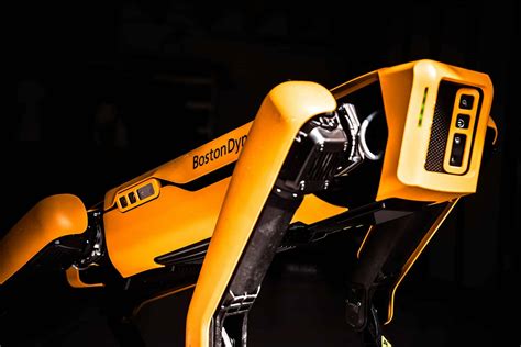 How Many Types Of Robots Are There Exploring The Multifaceted World Of
