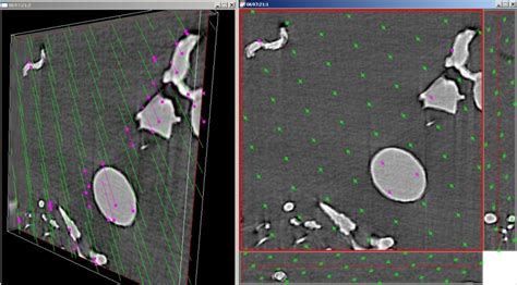 Correlating Micro CT Imaging With Quantitative Histology IntechOpen