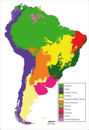 Approximate Distribution Of Major Terrestrial South American