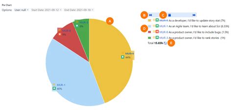 Pie Chart Report